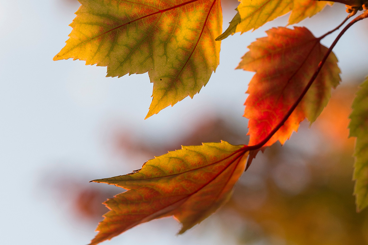 Vinkit talkoisiin | VAV